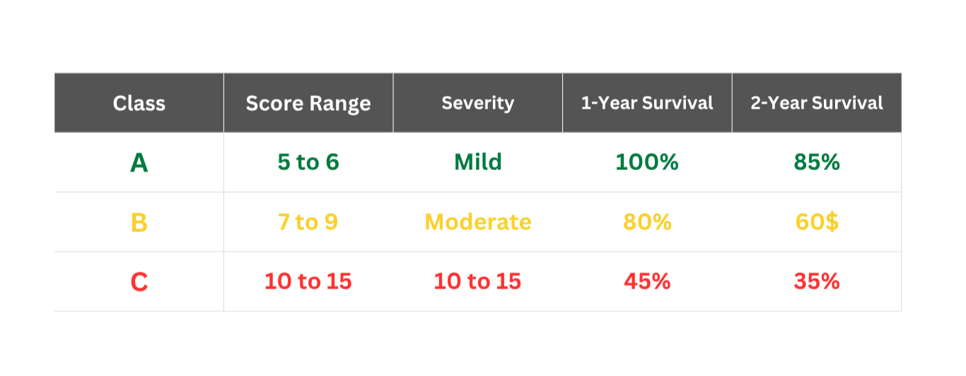 Child Pugh Score Calculator – Instantly Calculate Cirrhosis Severity ...