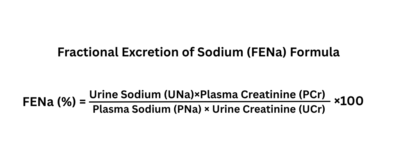 FENa Calculator – Instantly Check Fractional Excretion of Sodium ...